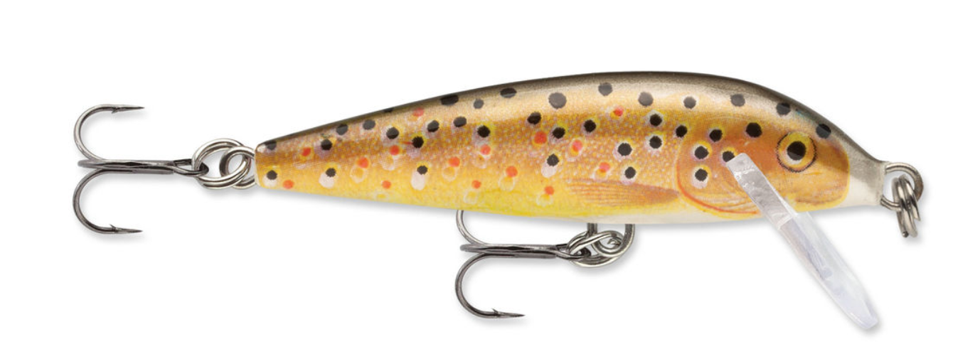 Rapala Wobler Countdown CD03 Trout | Fischermaterial.ch